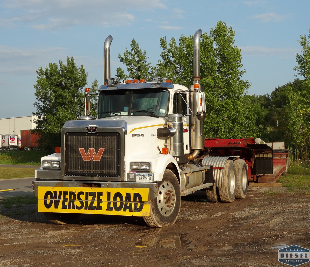 Western Stars of Distinction